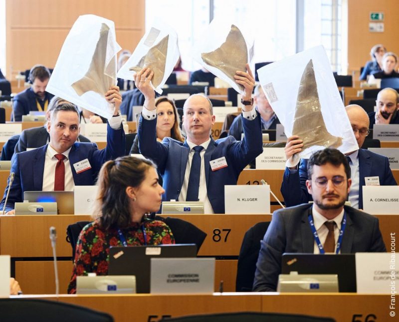 Home - STOP FINNING EU